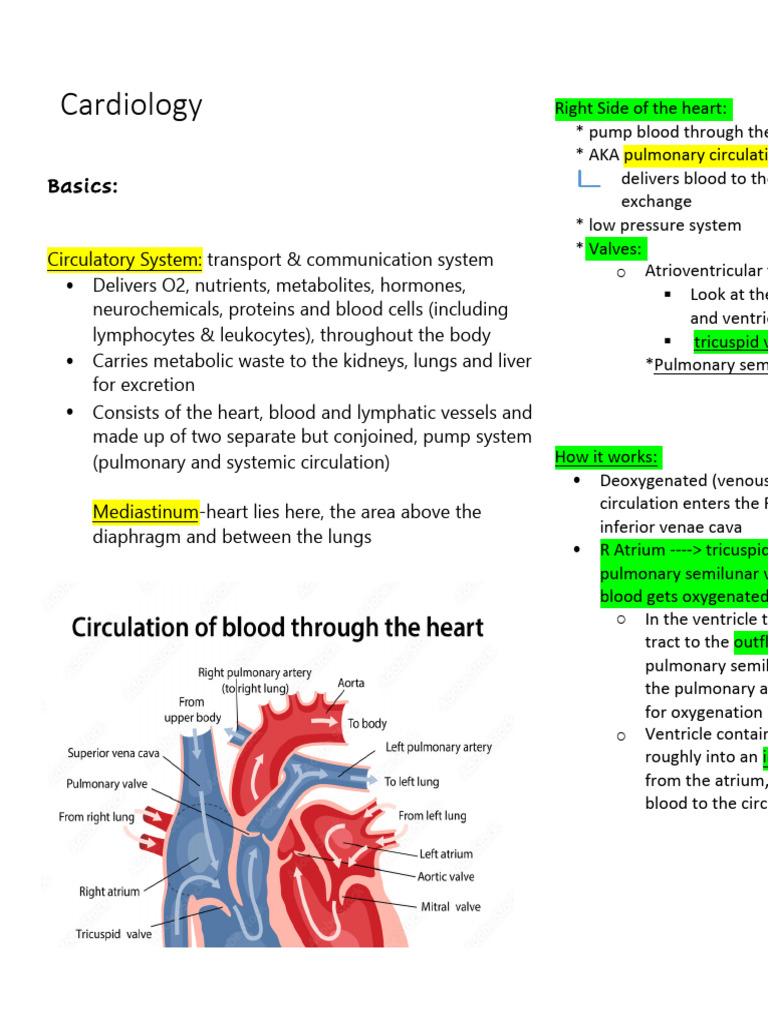 Cardiology | PDF | Heart Valve | Heart