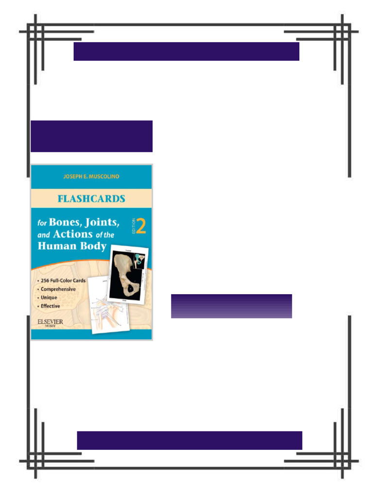 Flashcards for Bones Joints and Actions of the Human Body 2nd Edition ...