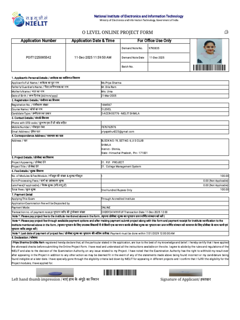 NIELIT O Level Project Application Form | PDF