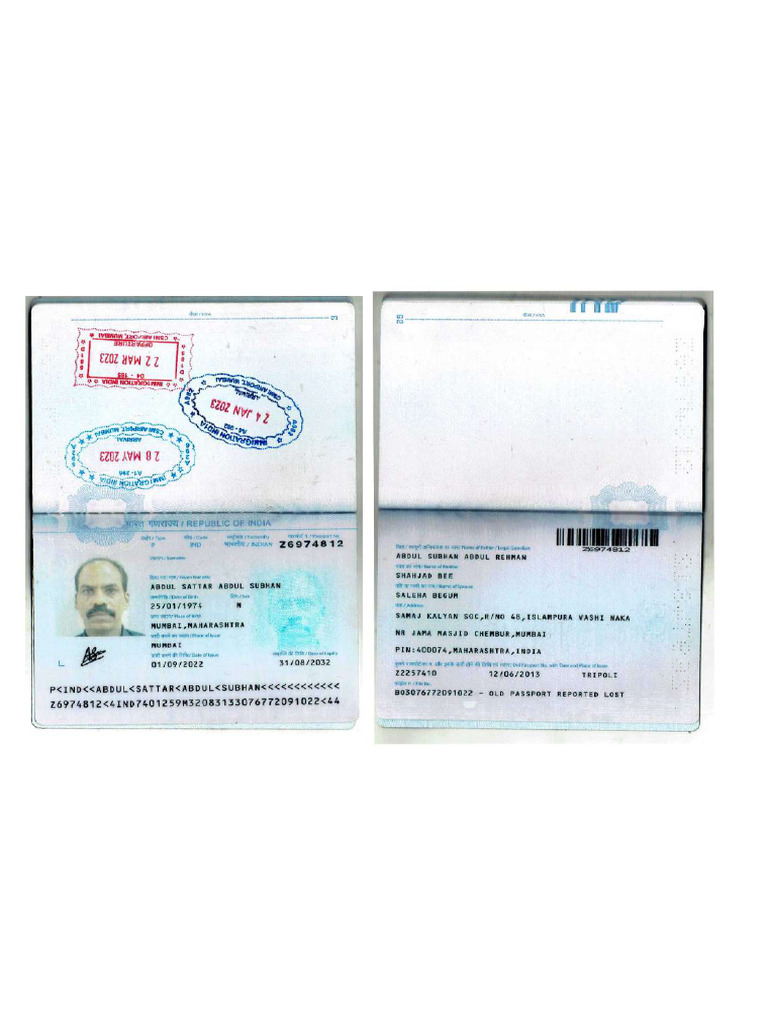 Passport 3 | PDF