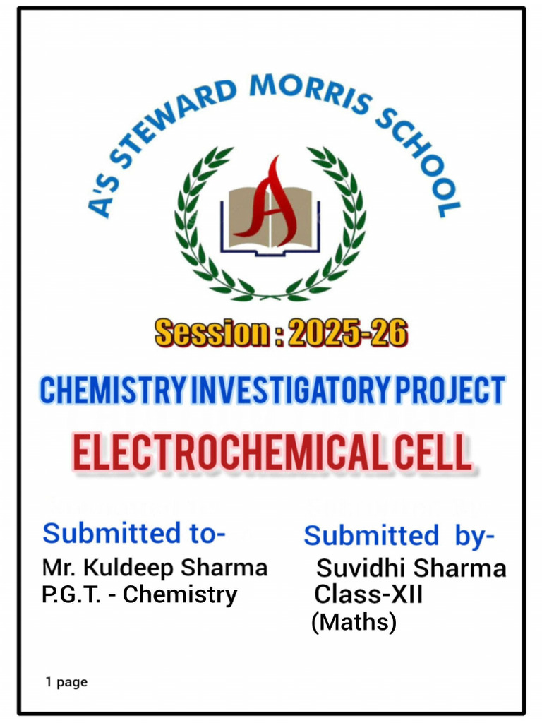 Electrochemical Cell Project | PDF