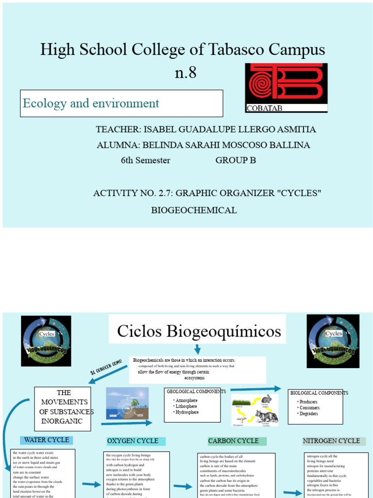 Graphic Organizer "Biogeochemical Cycles" | PDF | Water | Oxygen