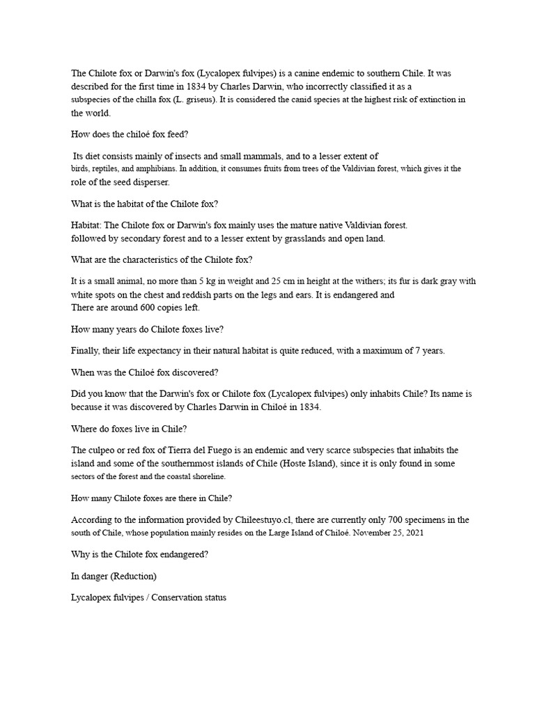 ZORRO CHILOTE Document | PDF | Zoology