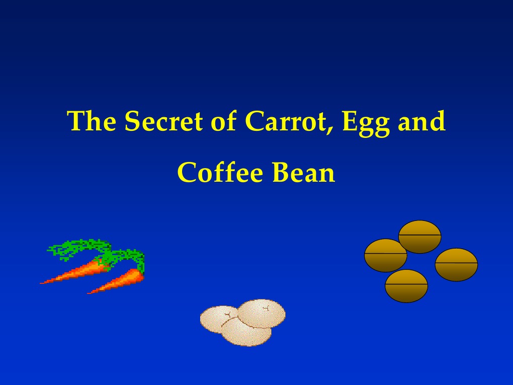 The Story of Coffee Bean | PDF
