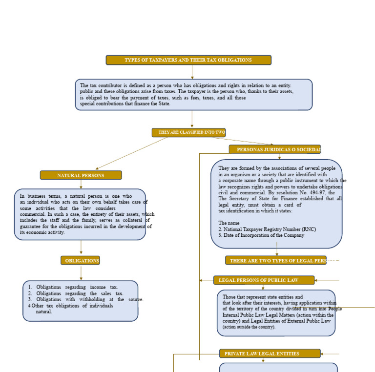 Conceptual map - Define the types of taxpayers and their obligations ...