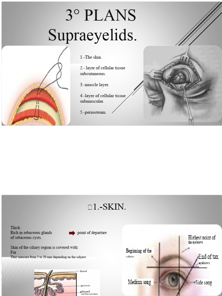 3rd SUPERCILIARY PLANES. | PDF