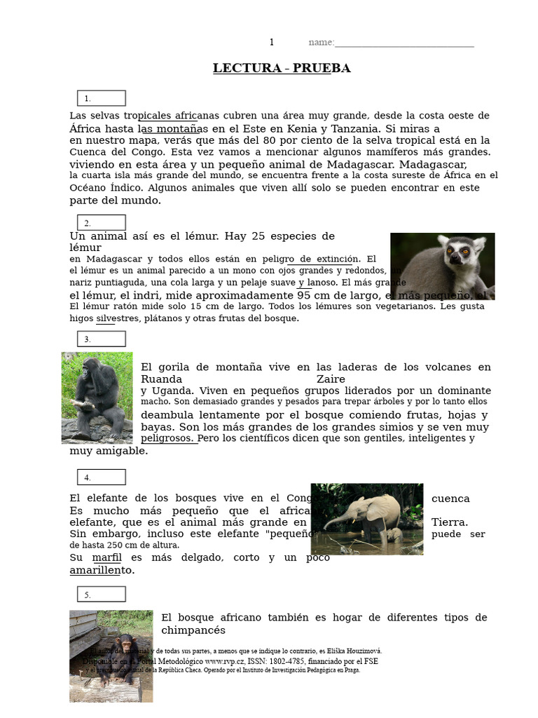 Animales Salvajes - Evaluación de La Comprensión Lectora | PDF | África ...