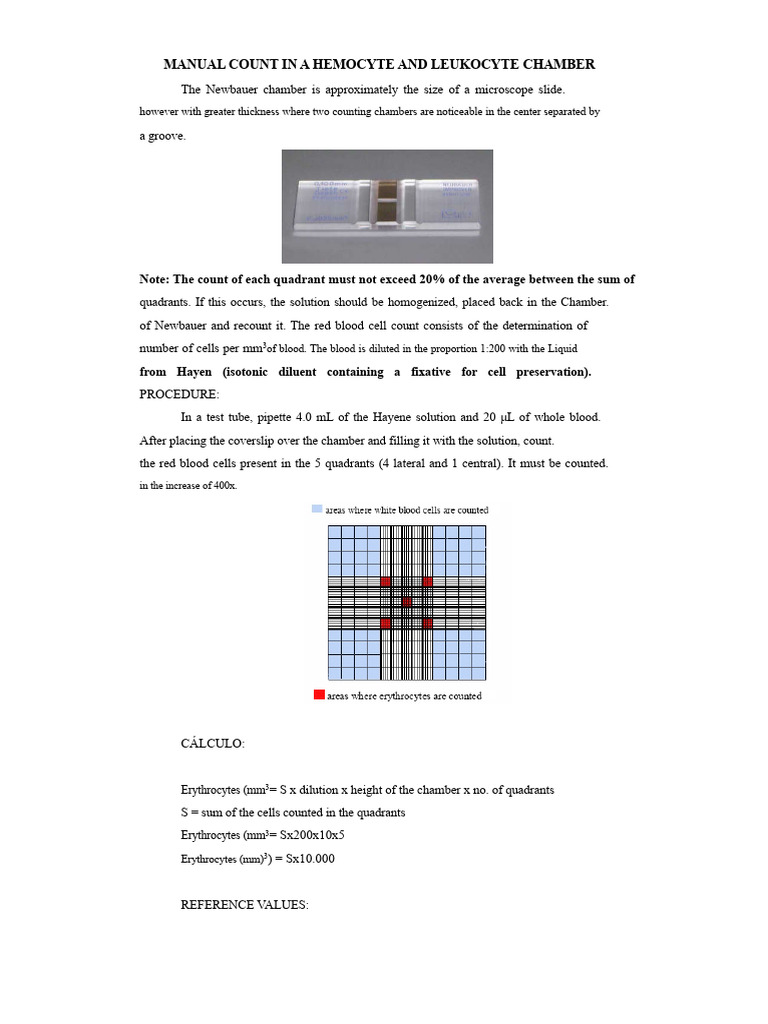 Hemocytometer Manual for Blood Cell Counting | PDF | Blood Cell | White ...