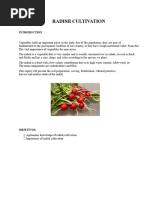 Pechay Cultivation Guide | PDF | Plants | Horticulture