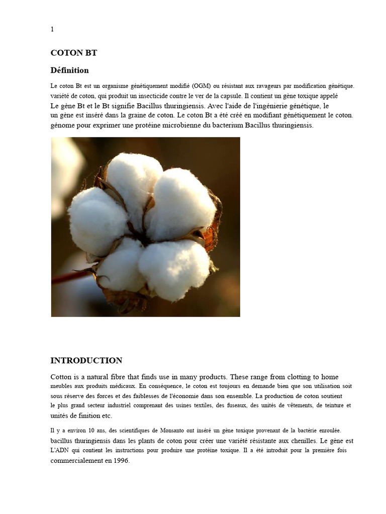 Coton Bt : Avantages et Inconvénients | PDF | Organisme génétiquement ...