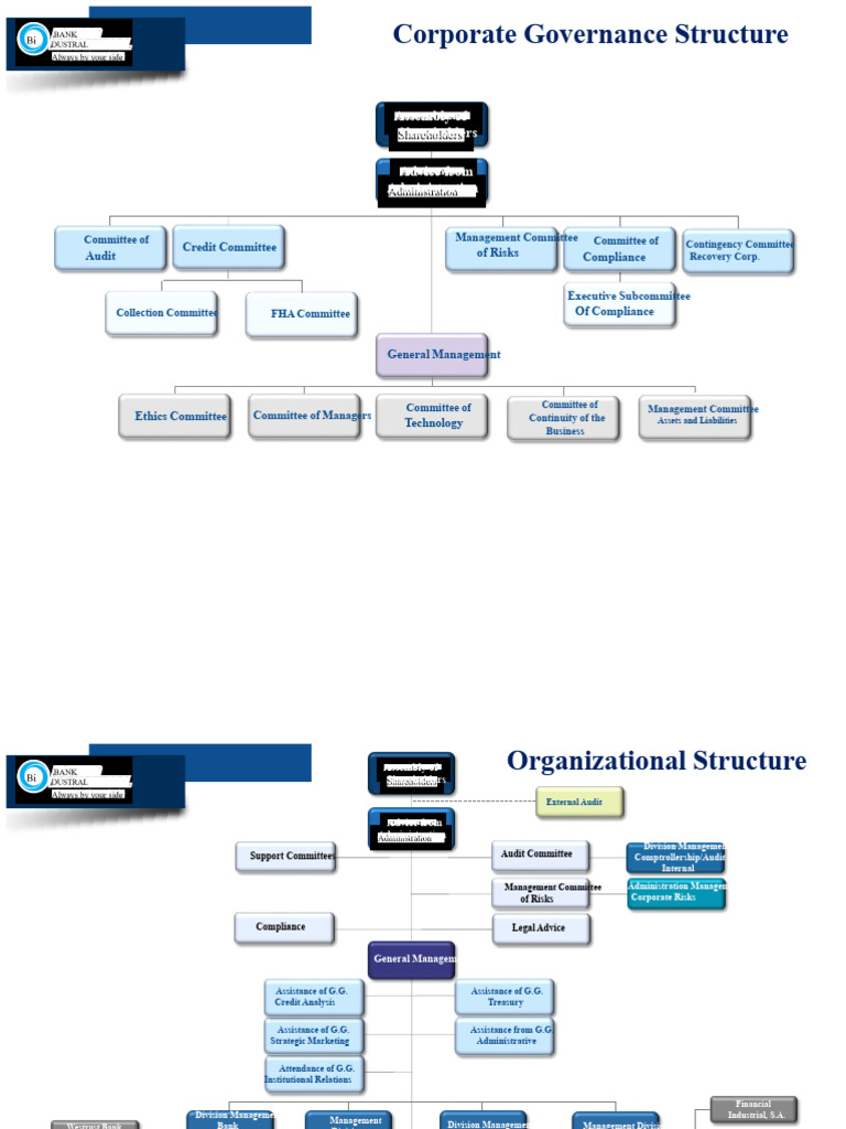 Corporate Governance Structure Overview | PDF | Corporate Governance ...