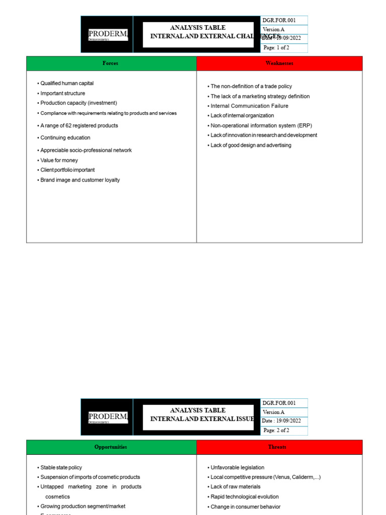 Internal and External Challenges Analysis | PDF | Marketing | Private ...