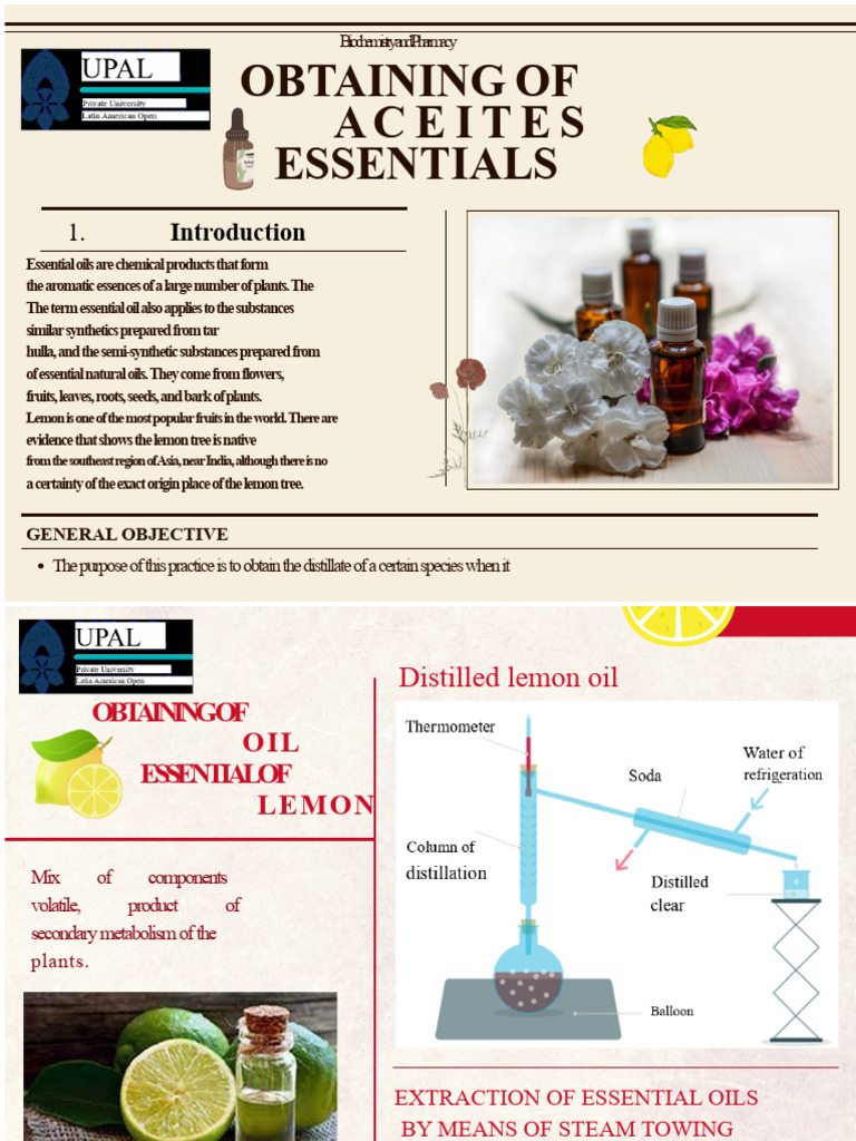 Essential Oils: Lemon Oil Extraction Guide | PDF