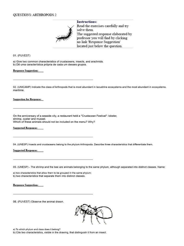 (7th Grade) Activities - Arthropods | PDF | Zoology | Arthropods
