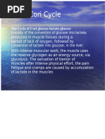 EVALUATION SHEET FOR SCIENCE PROJECT PROTOTYPES 2016.pdf | PDF ...