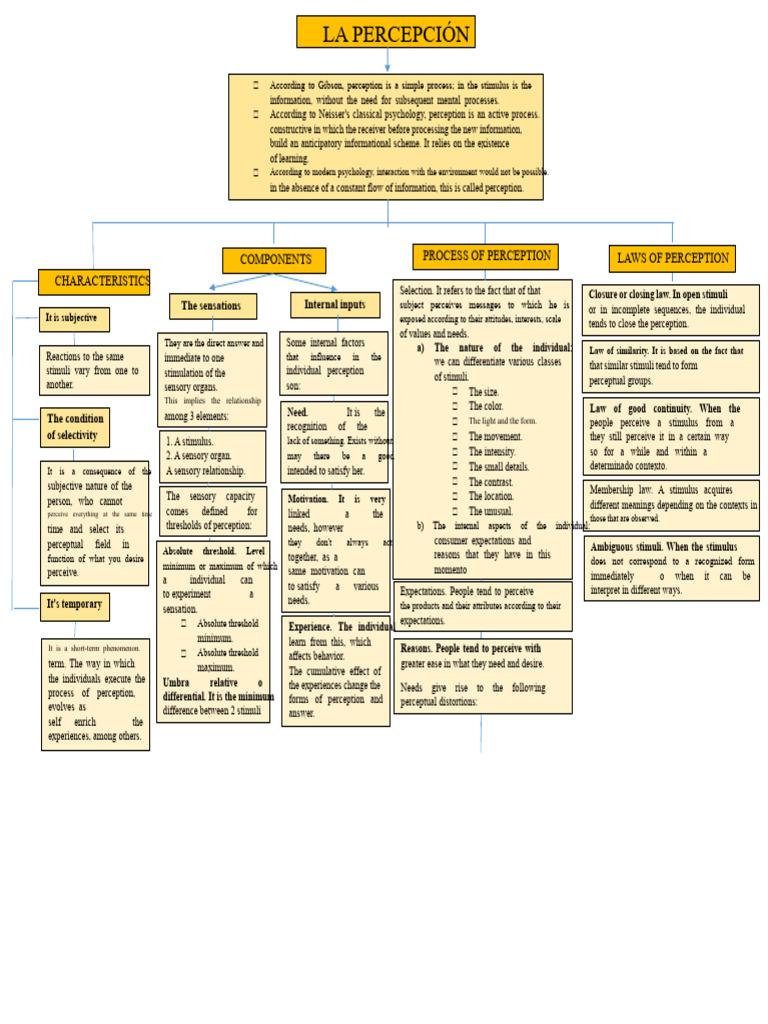 Visual Organizer of Perception | PDF | Perception | Senses