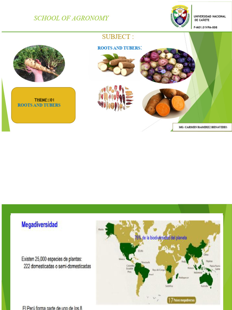TOPIC 01 Introduction Root and Tubers | PDF | Potato | Root