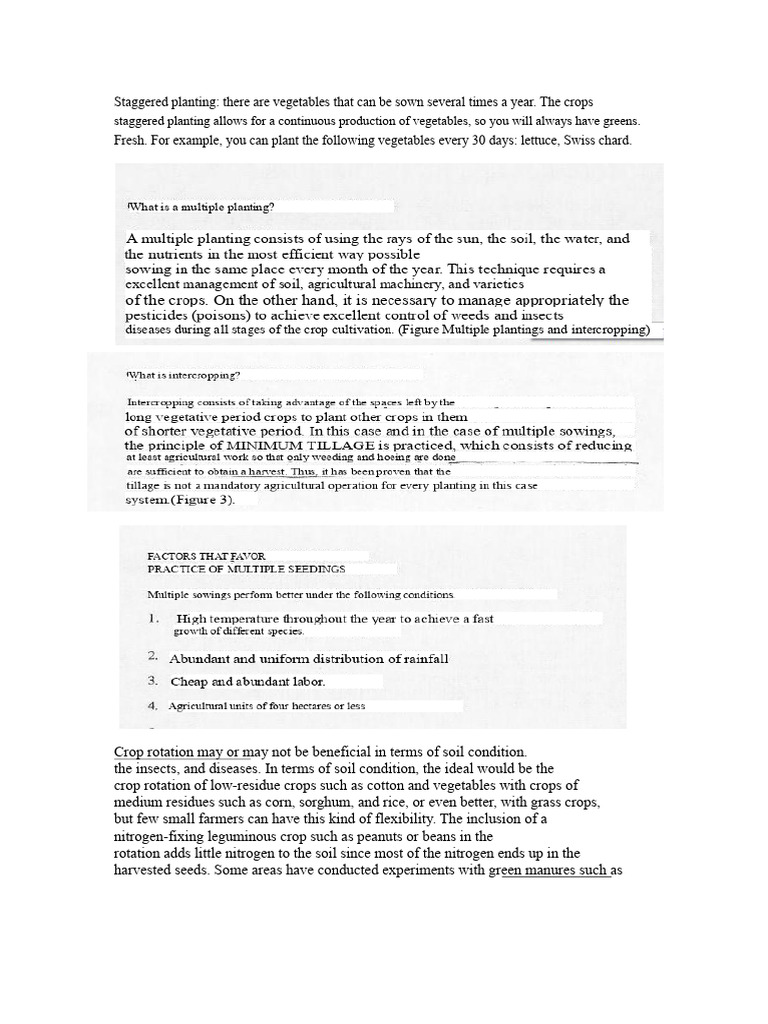 Staggered planting | PDF | Crop Rotation | Maize