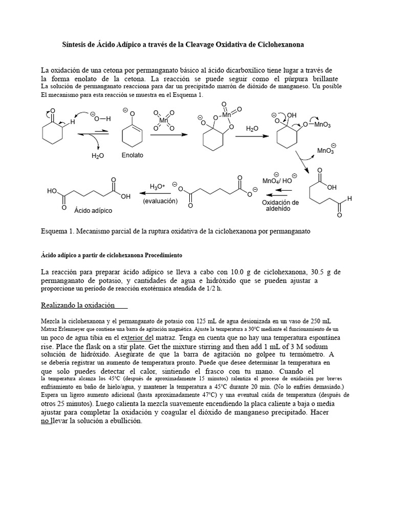 Síntesis Del Ácido Adípico | PDF | Agua | Ácido