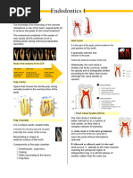 Endodontic Canal Configuration Guide | PDF | Tooth | Dental Anatomy