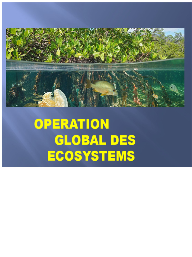 Global Functioning of Ecosystems | PDF | Ecology | Ecosystem