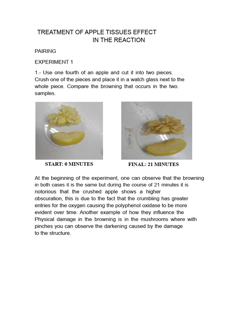 fruit tree pruning | PDF