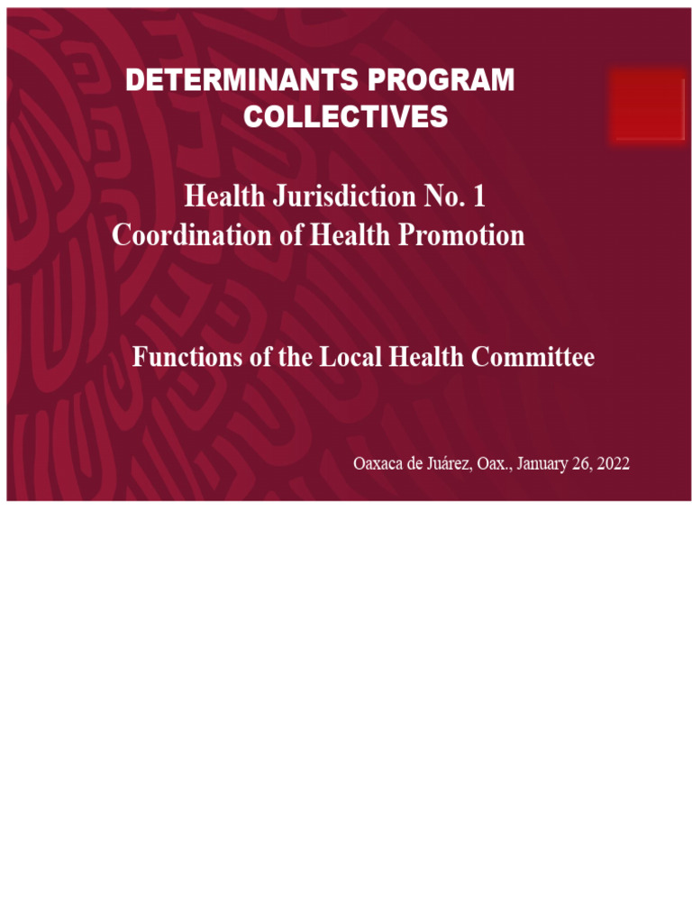 Local Health Committee Objectives & Structure | PDF