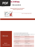 Formuły Całkowe | PDF