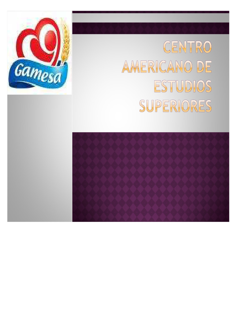 Gamesa Distribution Strategy | PDF