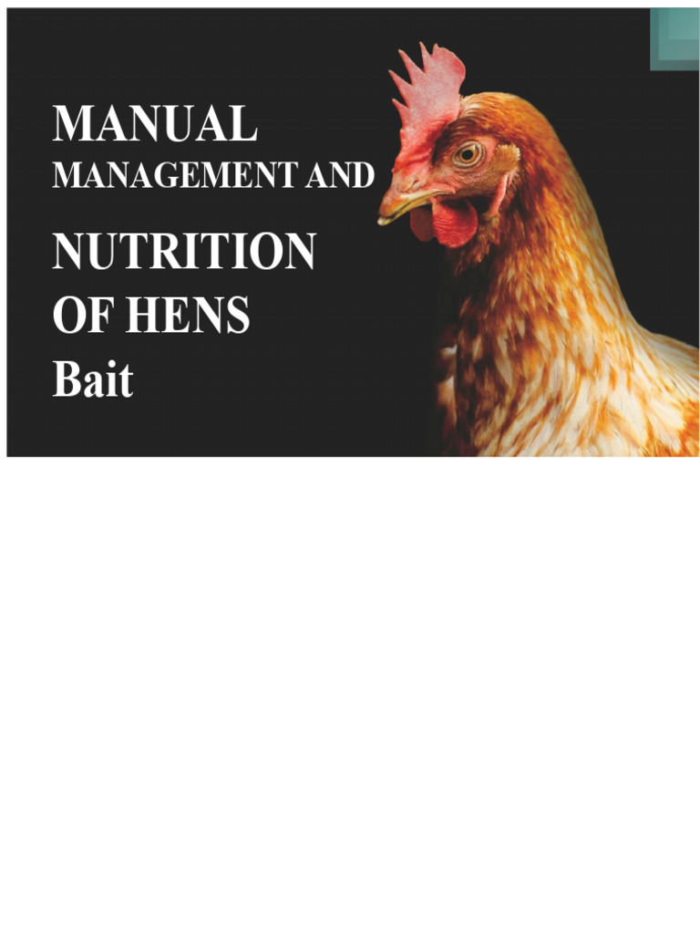 Hen Management and Nutrition Guide | PDF | Cereals | Foods