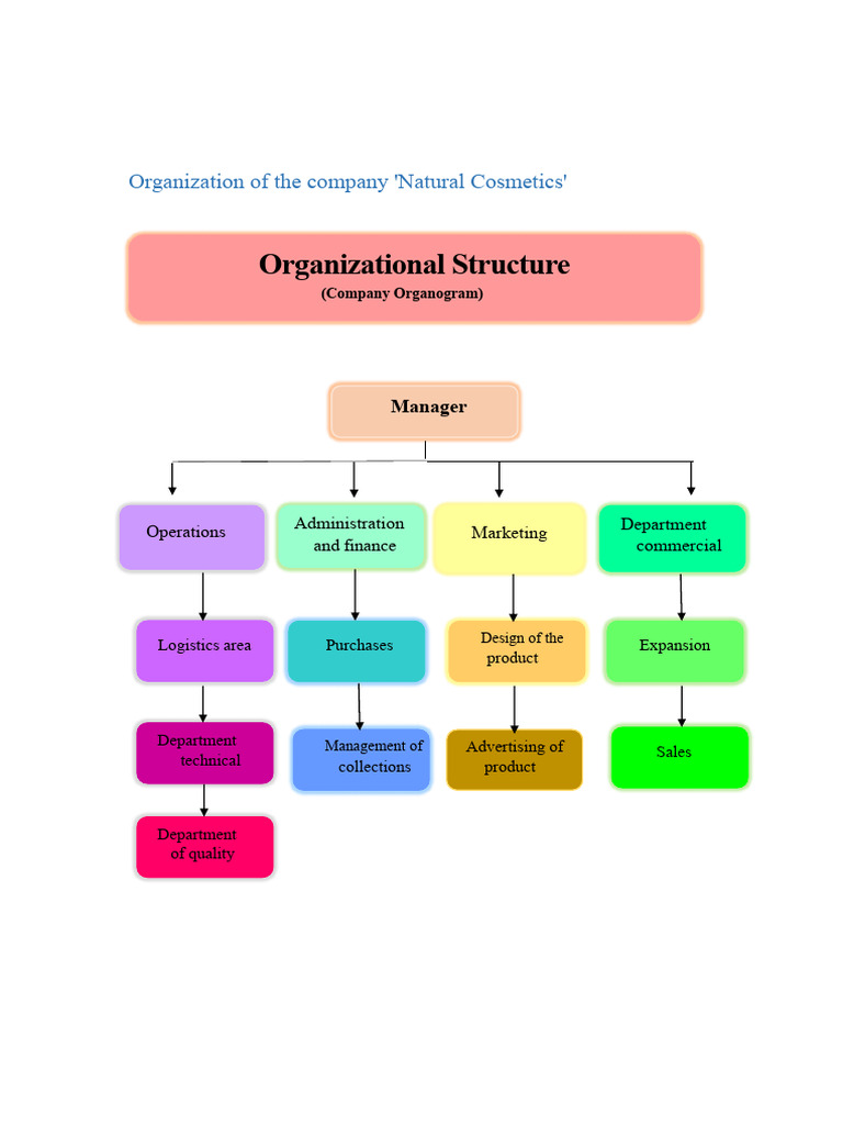 Organization of the company 1.1 | PDF