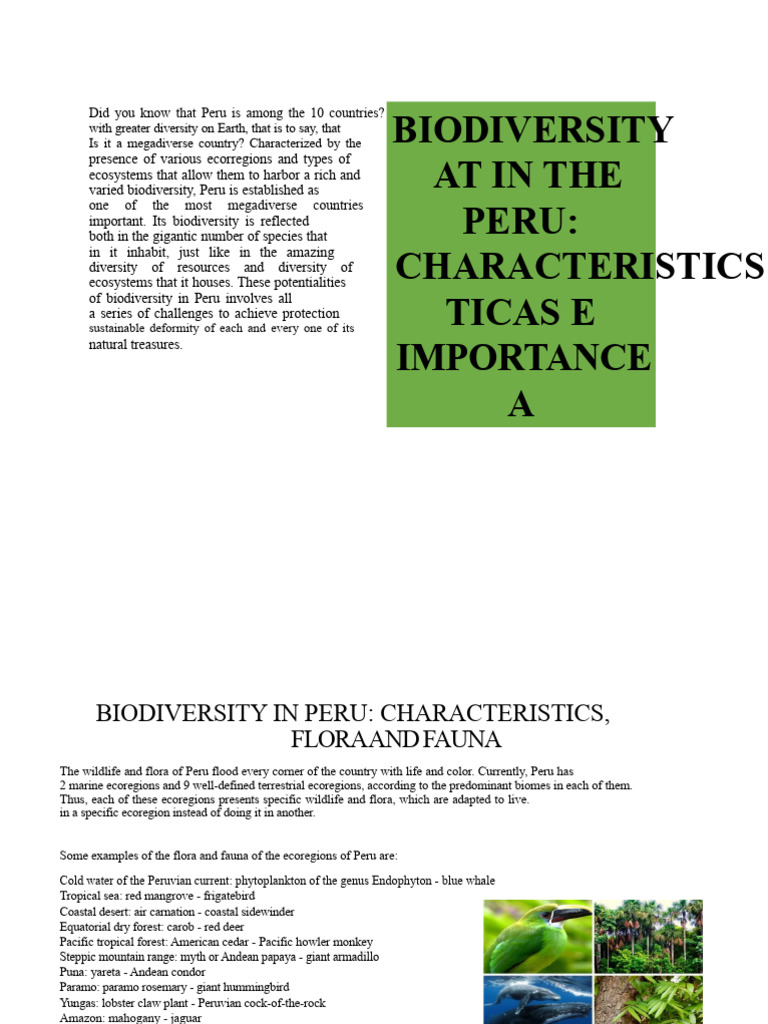 Biodiversity in Peru (Eco) | PDF | Biodiversity | Biogeography