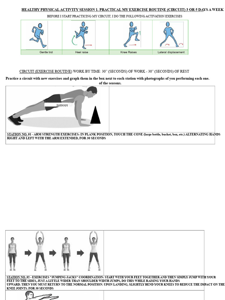 COMPLEMENTARY ACTIVITY #2 - HEALTHY PHYSICAL ACTIVITY 1 - CIRCUIT ...