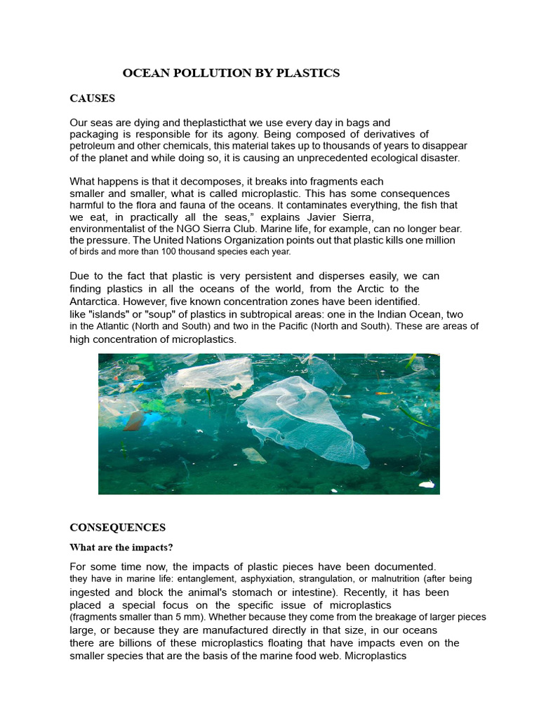 Ocean Plastic Pollution: Causes & Solutions | PDF | Plastic | Marine ...
