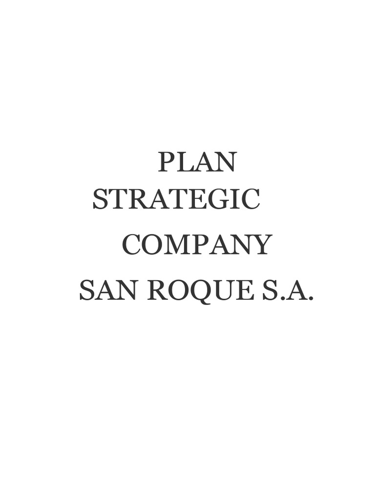 Strategic Planning for San Roque S.A. | PDF | Sales | Credit