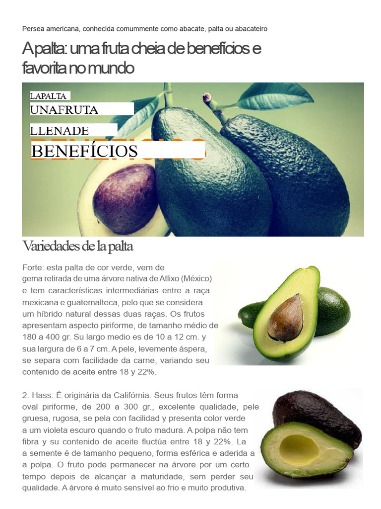 CT-La Palta Uma Fruta Cheia de Benefícios e Favorita no Mundo | PDF ...