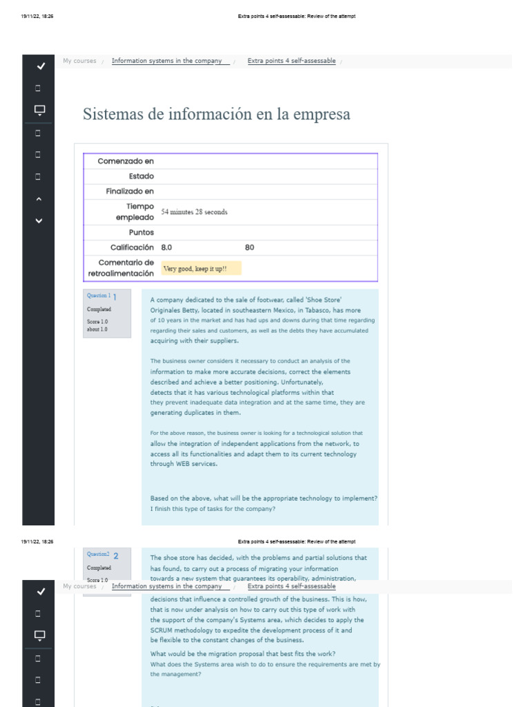 Extra points 4 self-assessable information systems in the company_ Review of the attempt | PDF ...