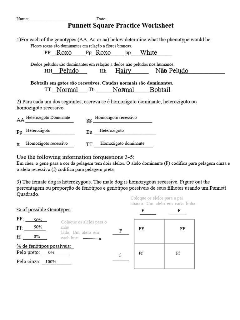 Kami Export - Patrick McKeown - Folha de Exercícios de Prática de ...
