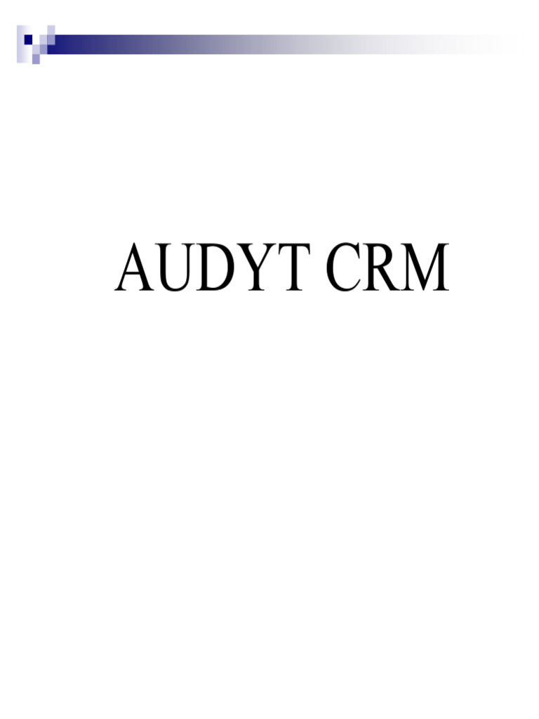 AUDYT CRM | PDF