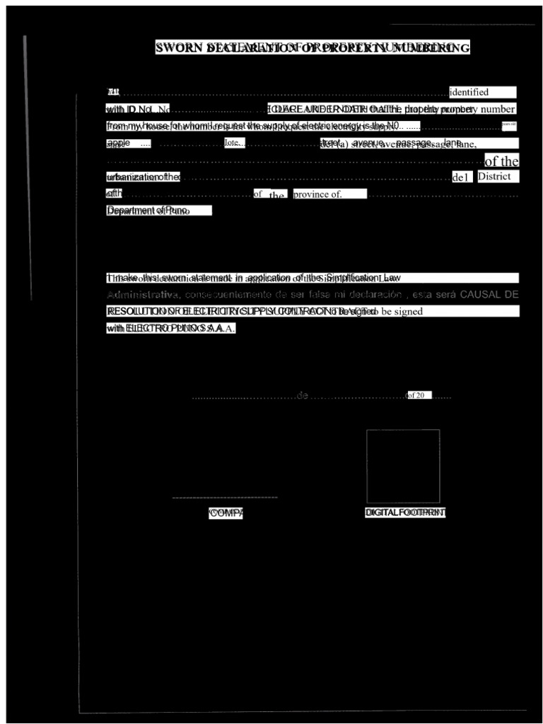 Affidavit of Property Numbering | PDF