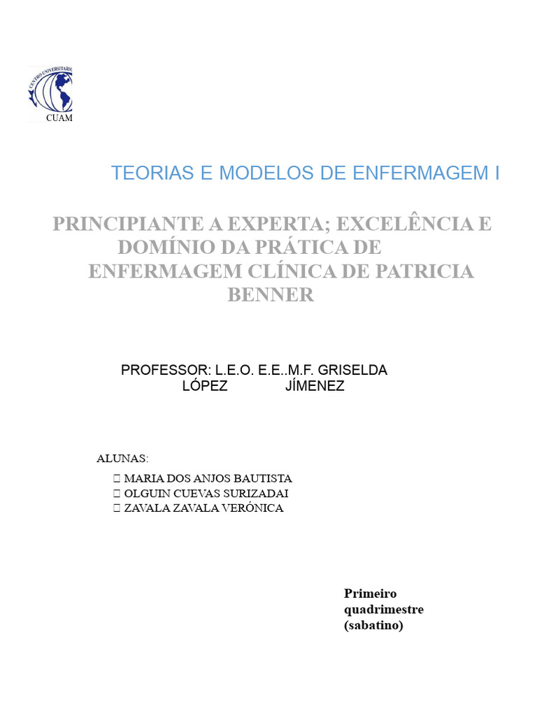 DE INICIANTE A EXPERTA (PATRICIA BENNER) SÁBADO PRIMEIRO | PDF ...