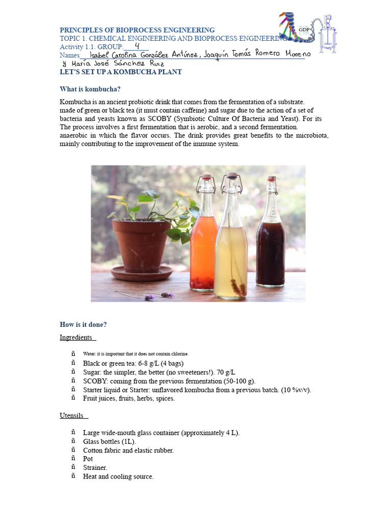 Kombucha Brewing Process Guide | PDF | Drink | Fermentation