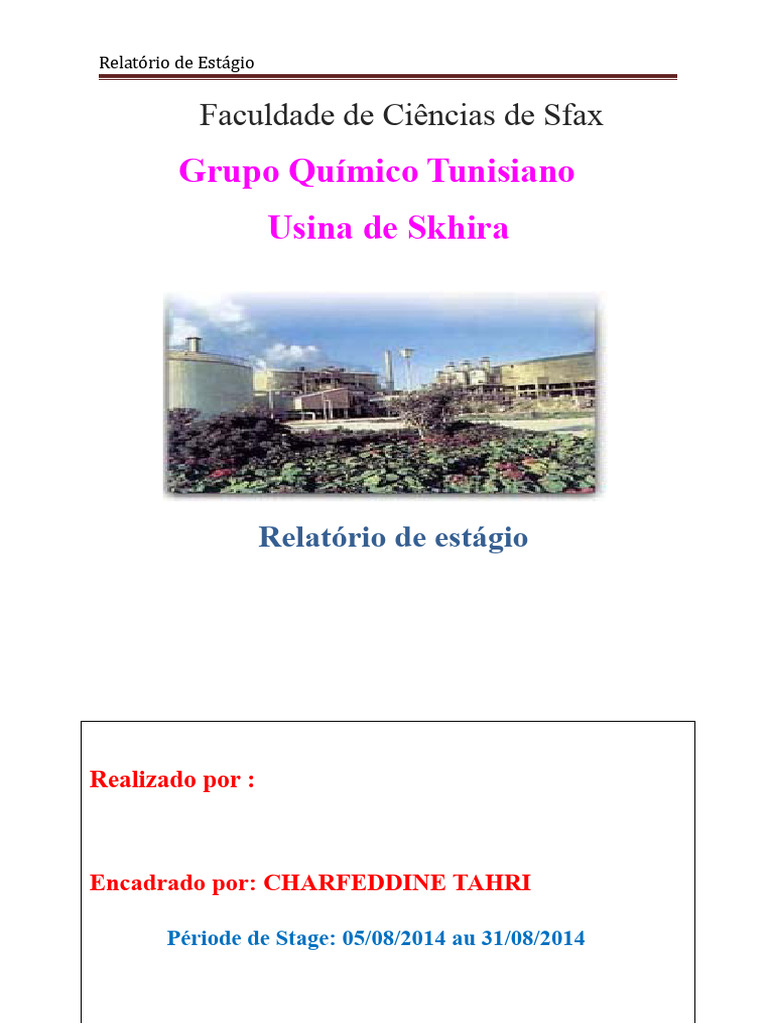 Relatório de Estágio na Usina de Skhira | PDF