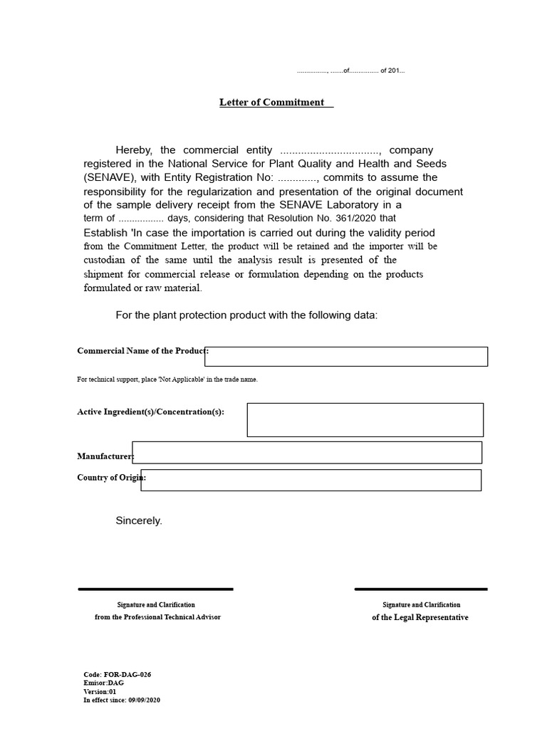 Letter of Commitment for Import Compliance | PDF