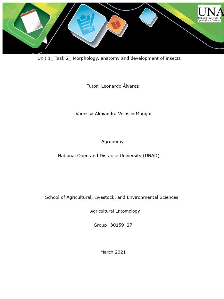 Task 2_Agricultural Entomology_Group Work | PDF | Insects | Insects And ...