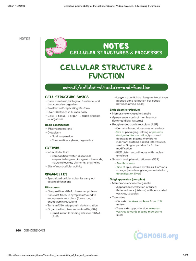 Cell Membrane Selective Permeability Explained | PDF | Osmosis | Membrane