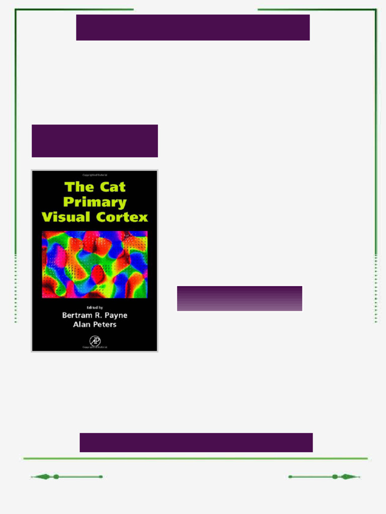 The Cat Primary Visual Cortex 1st Edition Bertram Payne ebook full ...