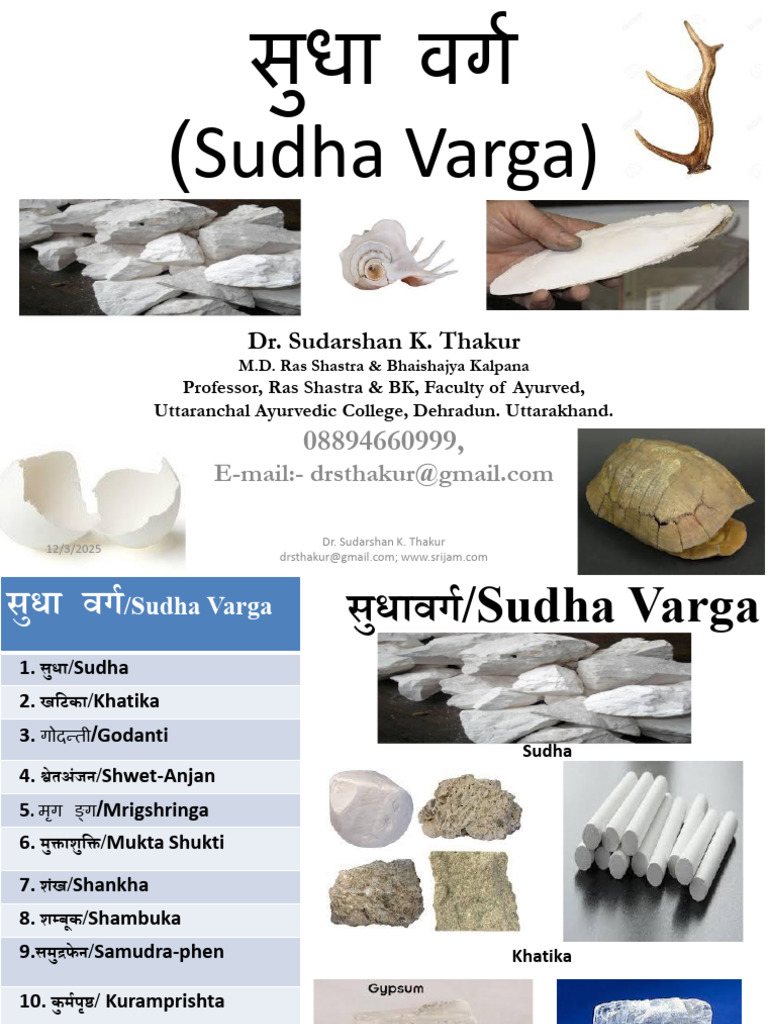 Sudha Varga 10072024 PDF | PDF