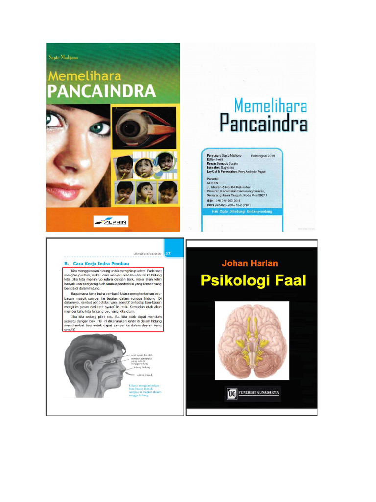 Bukti Teori Indra Penciuman & Pengecapan Allisa | PDF