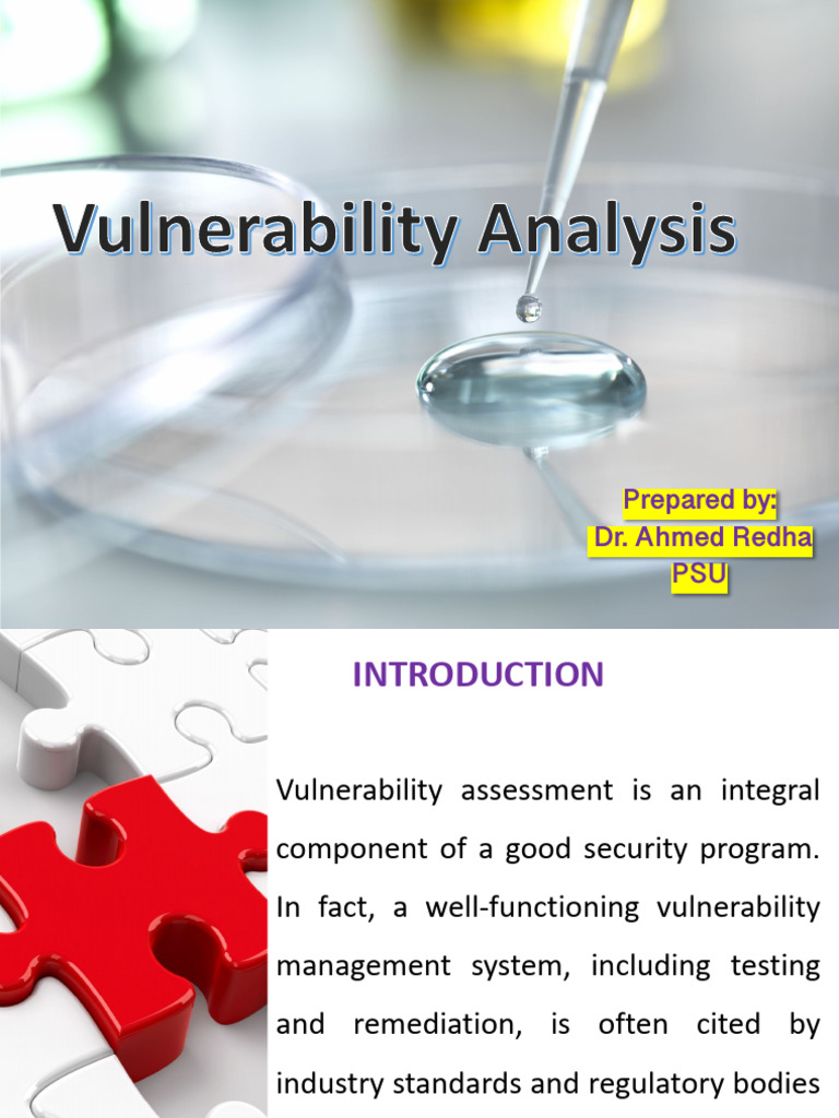 Understanding Vulnerability Assessments | PDF | Security | Computer ...